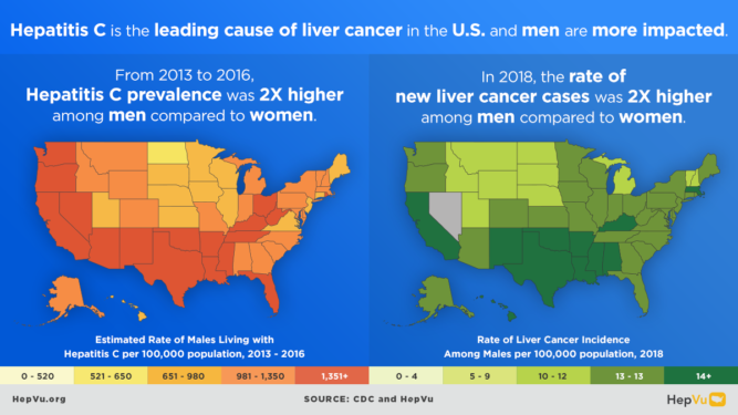 Liver Cancer and Viral Hepatitis - HepVu